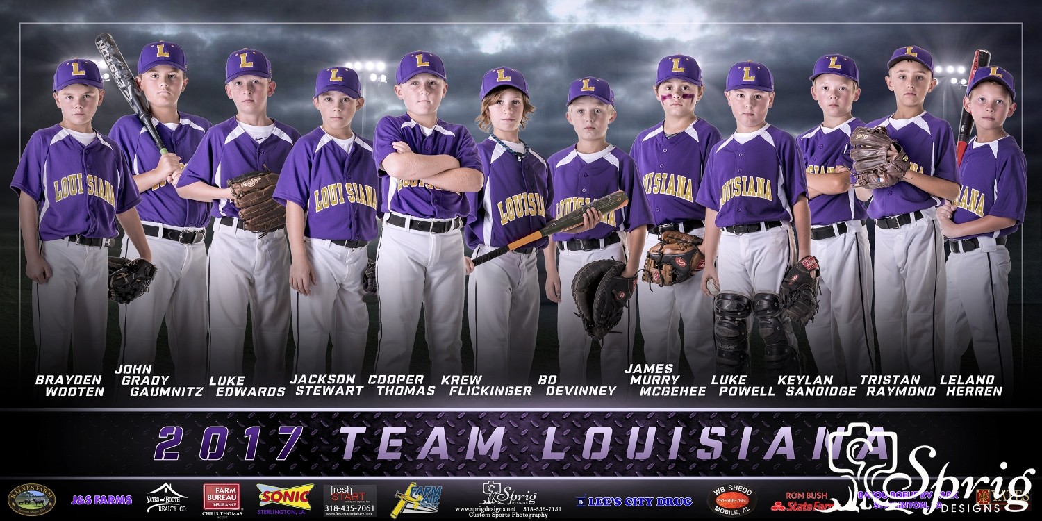 Team Sports Banners - Pricing - Sprig Designs