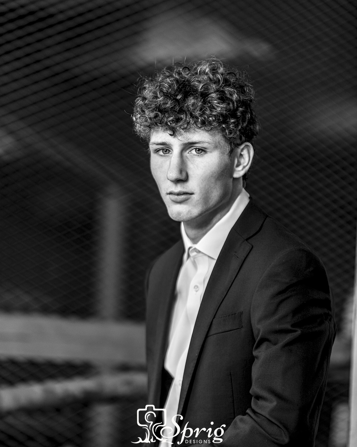 Patrick B - Client Galleries - Sprig Designs